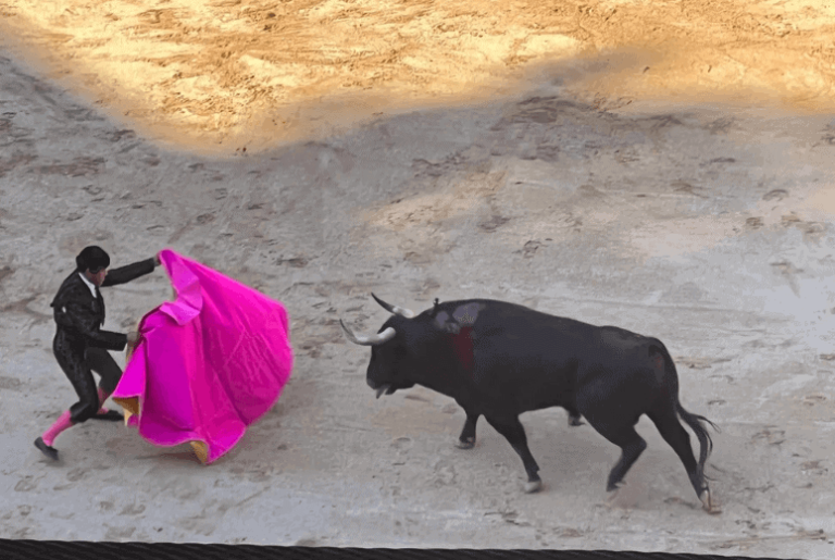 The History of Bullfighting and Spanish Cultural Heritage