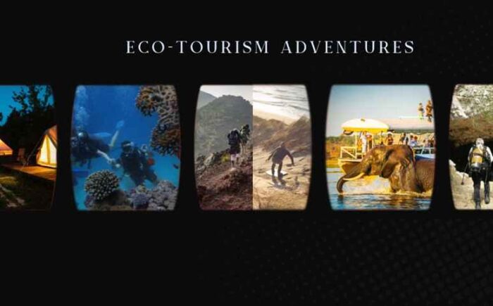 Eco-Tourism Adventures: Journey to Nature's Heart!