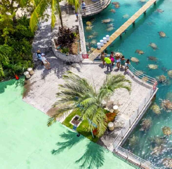 10 Best Places to Visit in the Cayman Islands