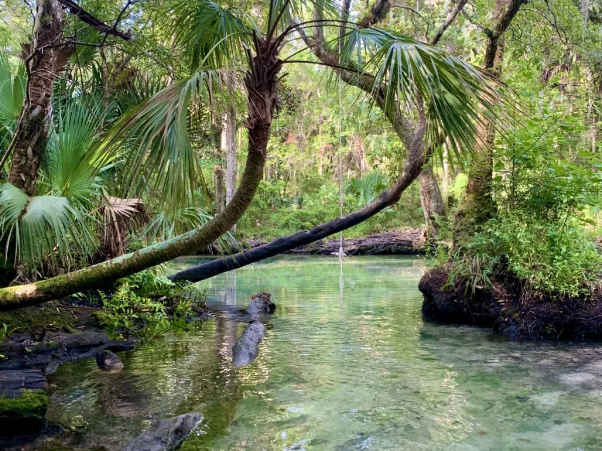 Road Trips Through Florida’s Hidden Gems